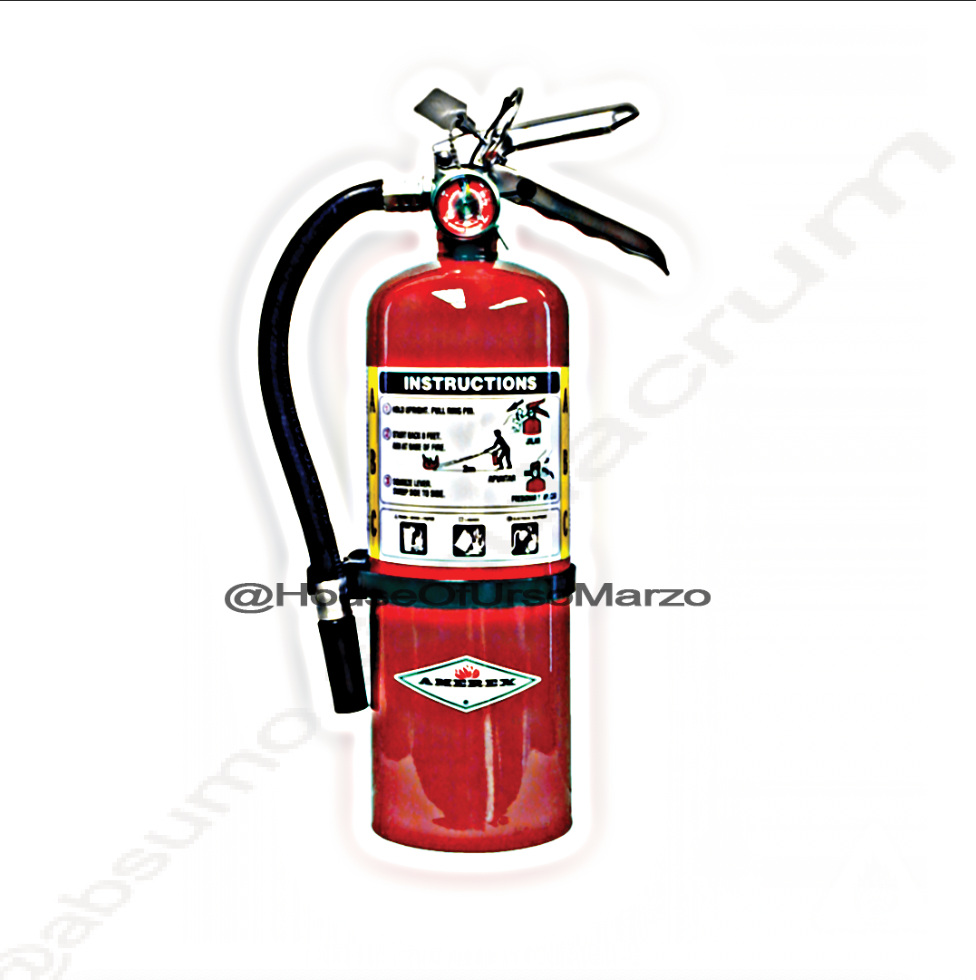 Home / Fire Extinguishers / Amerex / 10lb Fire Extinguisher – Amerex 3 ...
